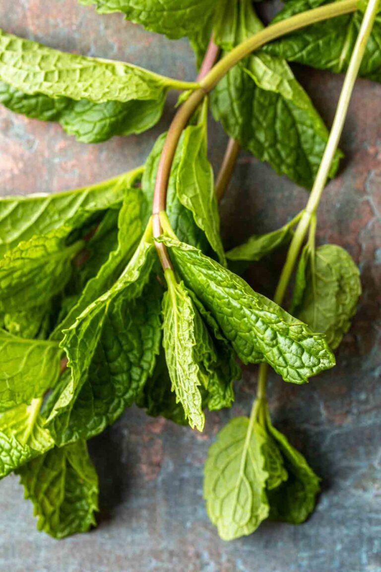 Mint Chimichurri - Simply Whisked