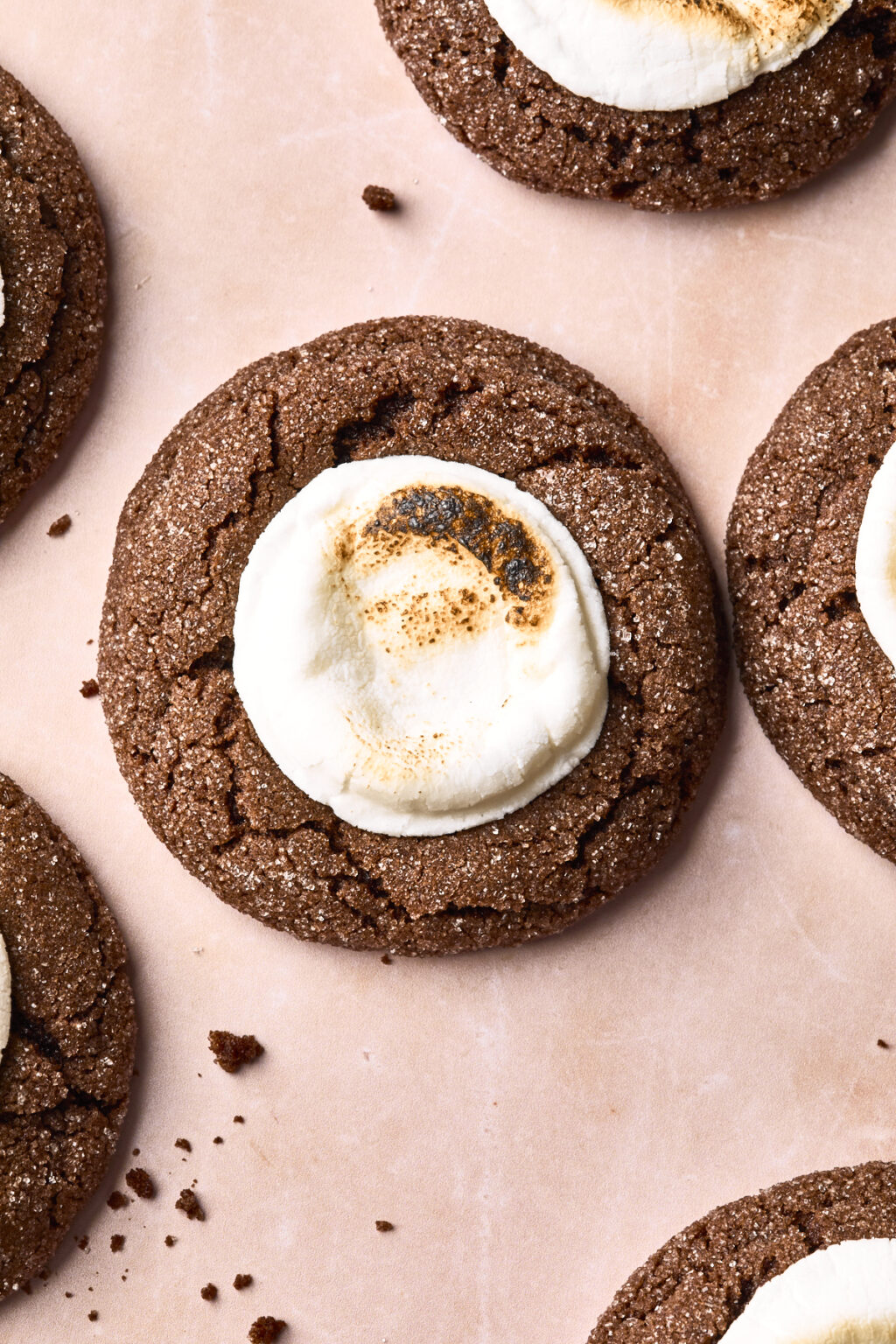 Hot Cocoa Cookies (dairy free!) - Simply Whisked